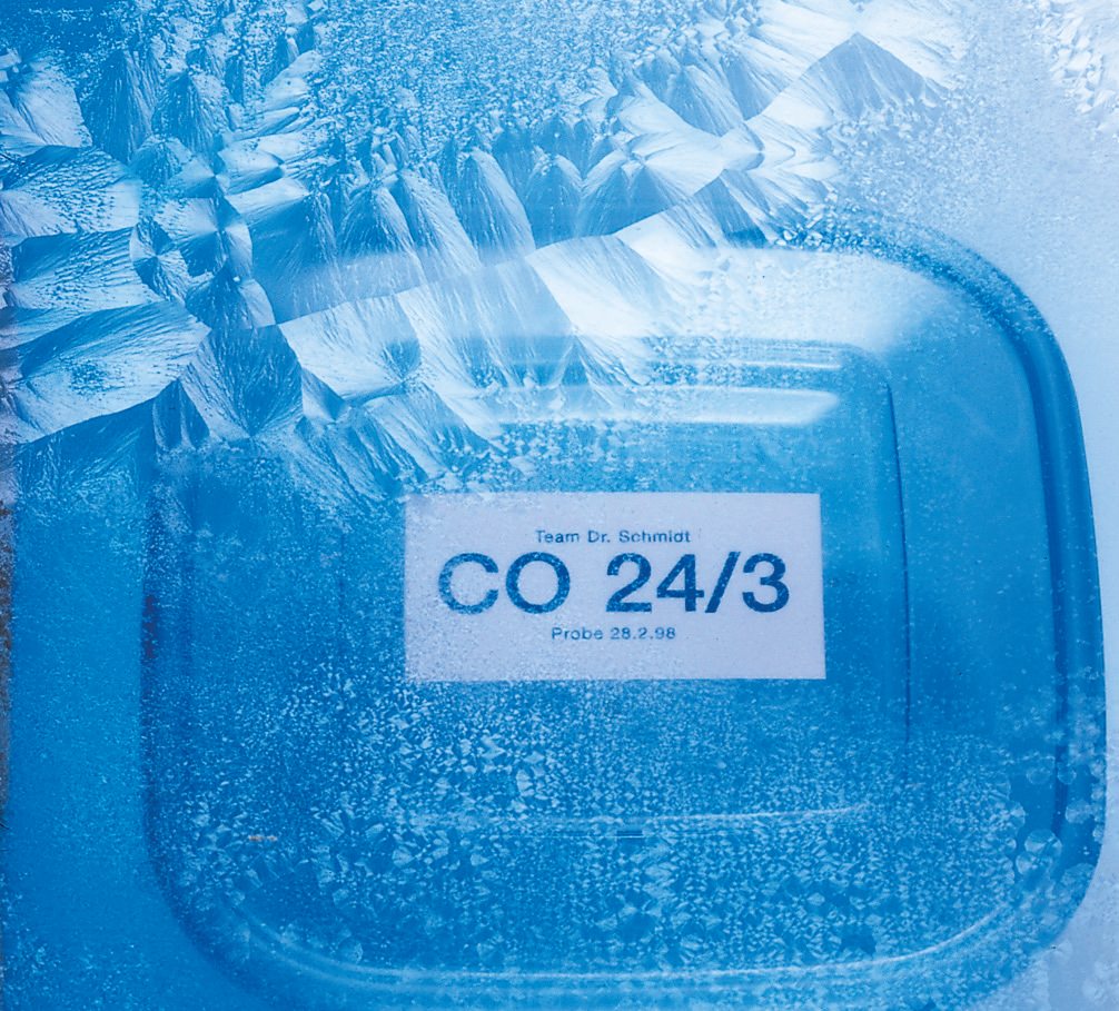 Freezer Labels A4, 66 x 33.8mm, White, Freezer-Proof - Packaging Pro ...