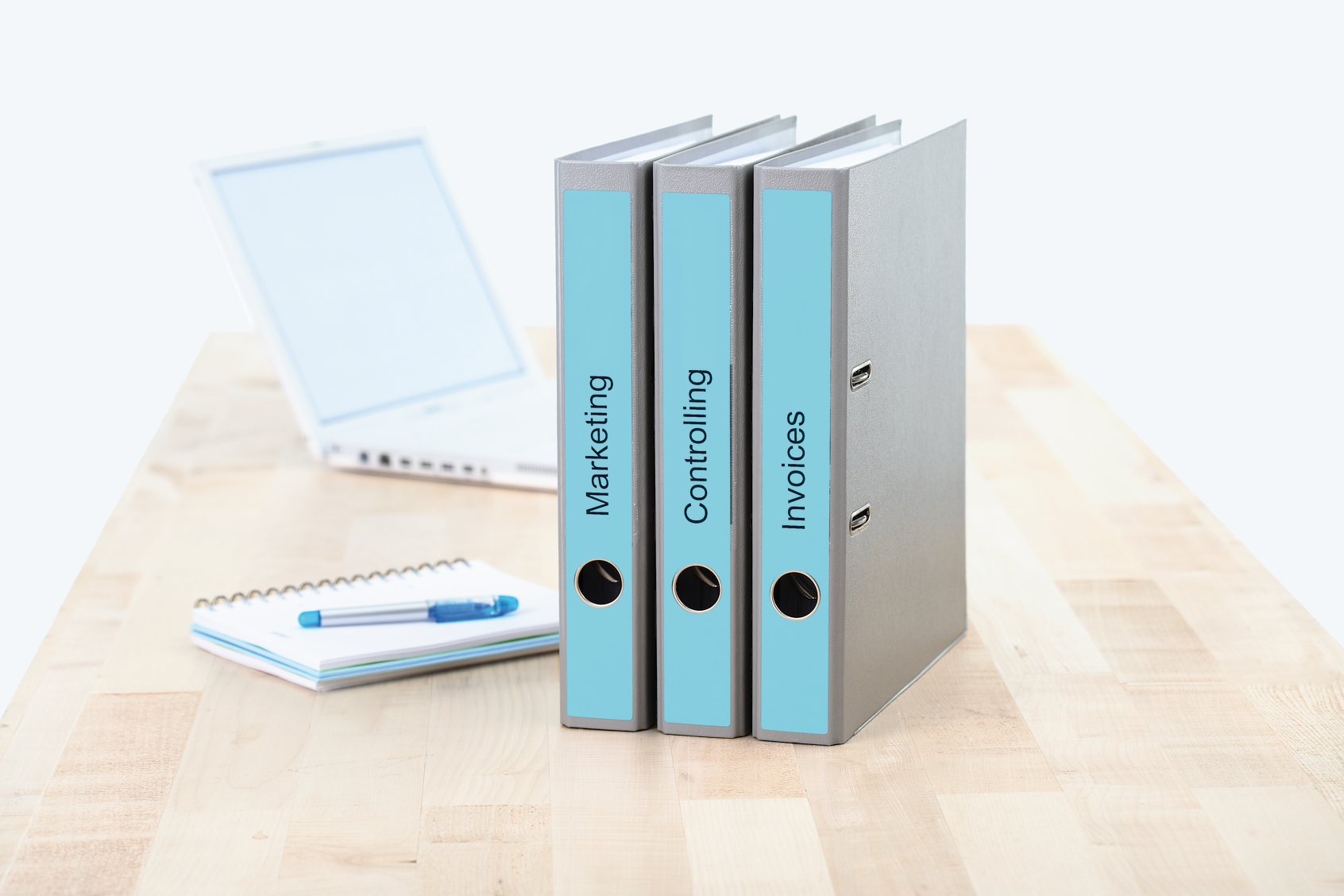 File Labels A4, 38 x 297mm, Blue, Opaque, for Narrow Files (Long ...