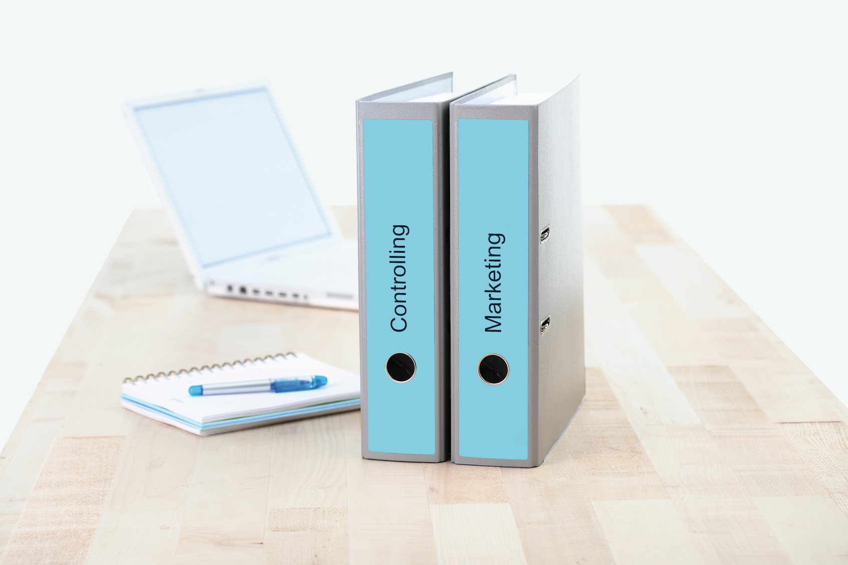 File Labels A4, 61 x 297mm, Blue, Opaque, for Narrow Files (Long ...