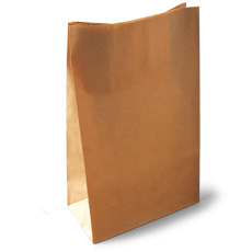 Brown Paper Takeaway Bag - #12