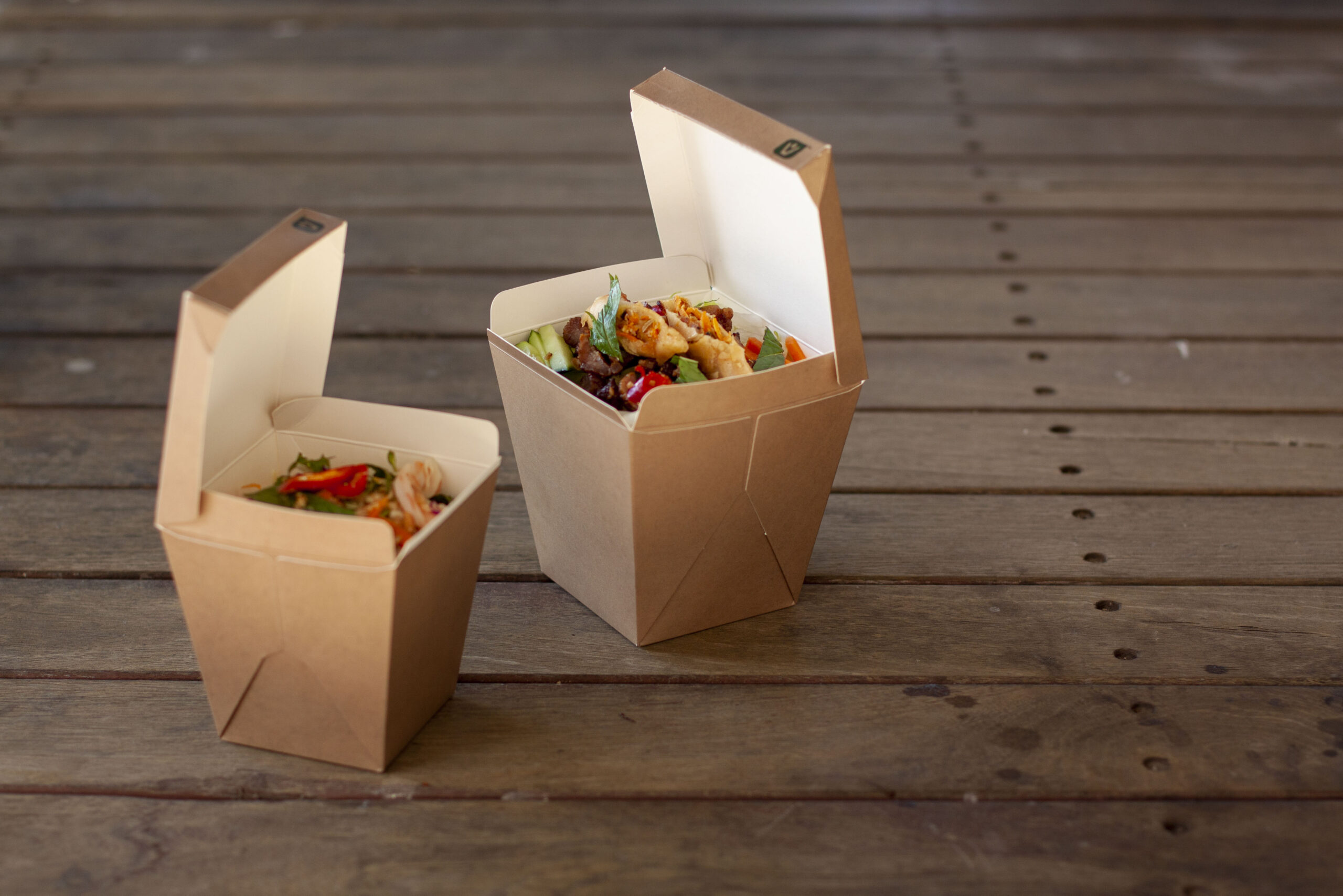 NeverLeak Small Noodle Boxes