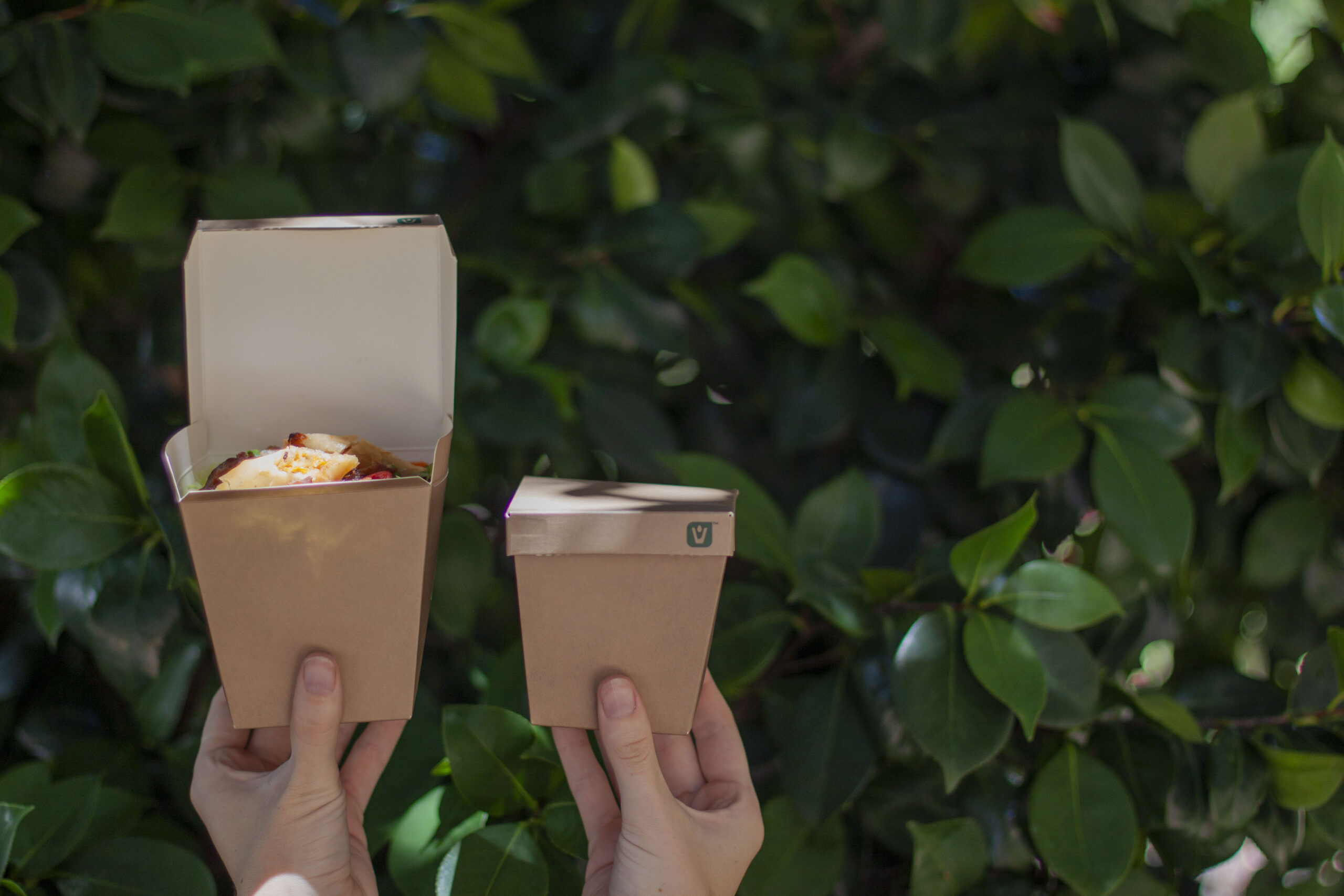 NeverLeak Small Noodle Boxes