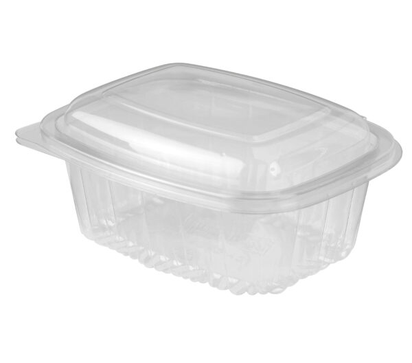 Plastic Container Rectangle - Hinged Lid 1000ml