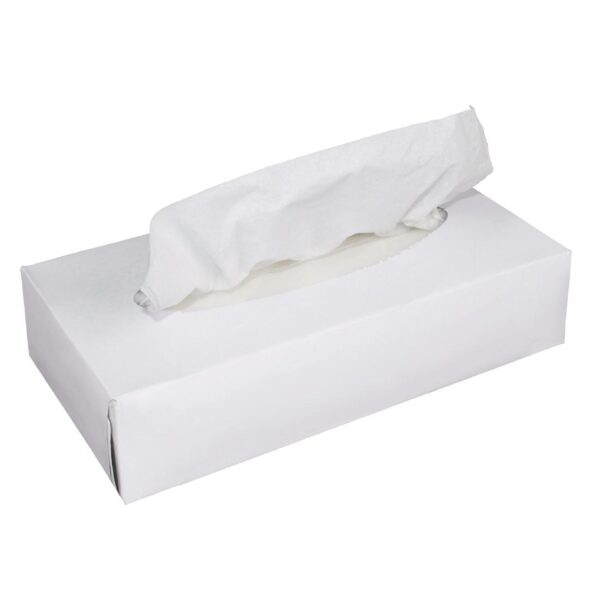 Fiesta Box of Tissues